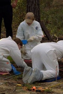 After the First 48: Season 8, Episode 4 | Rotten Tomatoes