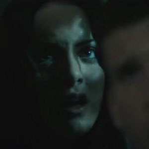 Animal - Rotten Tomatoes