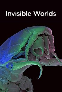 Invisible Worlds: Season 1 | Rotten Tomatoes