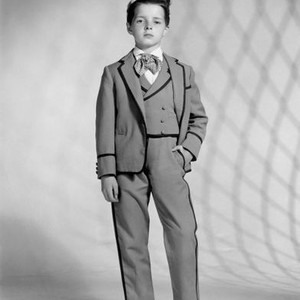 Martin Stephens - Rotten Tomatoes