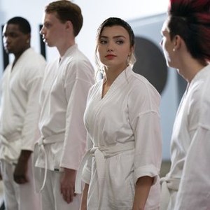 Cobra Kai - Rotten Tomatoes