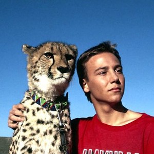 Cheetah - Rotten Tomatoes