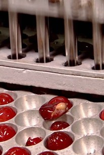 Fresh With Anna Olson: Season 2, Episode 17 | Rotten Tomatoes