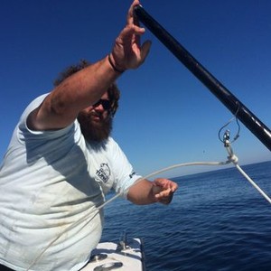 T.J. Ott - Rotten Tomatoes