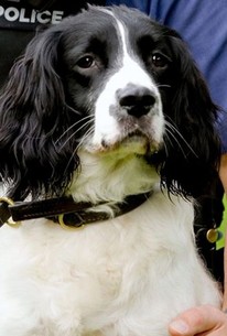 The Bionic Vet: Season 1, Episode 4 | Rotten Tomatoes