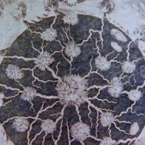 Burning Mountains That Spew Flame - Rotten Tomatoes