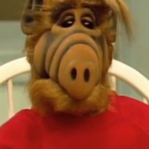 ALF: Season 4, Episode 7 - Rotten Tomatoes