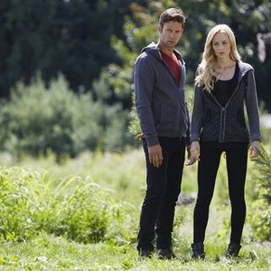 Bitten - Rotten Tomatoes