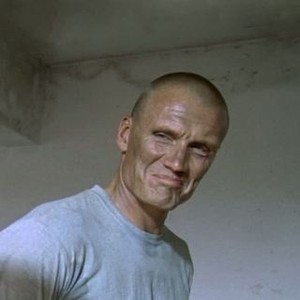 Rotten Tomatoes: Movies | TV Shows | Movie Trailers | Reviews - Rotten ...