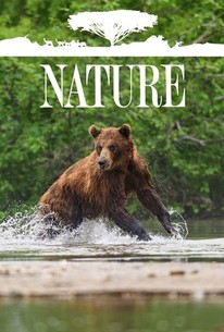 Nature: Season 11 | Rotten Tomatoes
