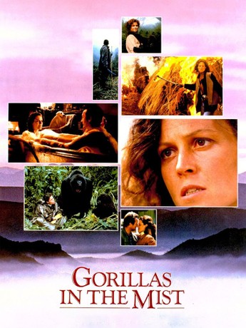 gorillas in the mist true story