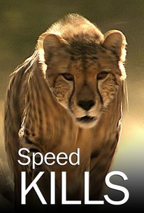Speed Kills | Rotten Tomatoes