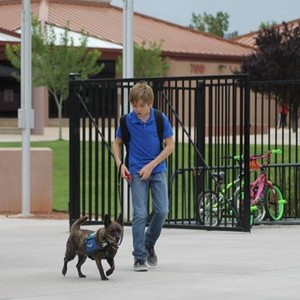 The Amazing Wizard of Paws - Rotten Tomatoes