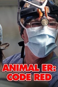 Animal ER: Code Red | Rotten Tomatoes
