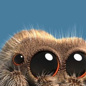 Lucas the Spider - Rotten Tomatoes