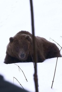 The Savage Line: Season 1, Episode 6 | Rotten Tomatoes