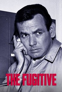 The Fugitive: Season 4 | Rotten Tomatoes