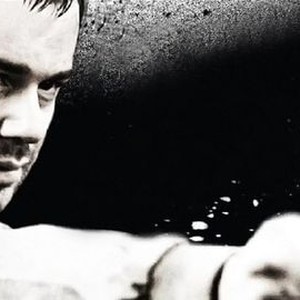 City Rats - Rotten Tomatoes