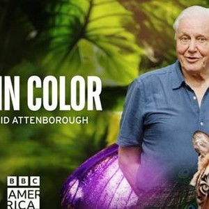 Life in Color With David Attenborough - Rotten Tomatoes
