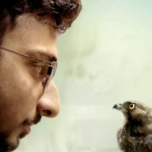 All That Breathes - Rotten Tomatoes