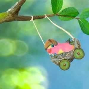 3rd & Bird: Season 1, Episode 12 - Rotten Tomatoes