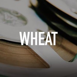 Wheat - Rotten Tomatoes
