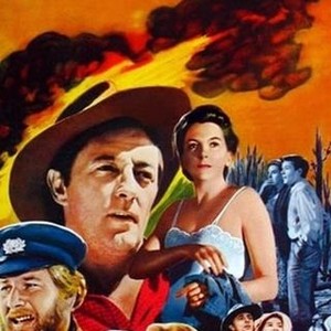 The Sundowners - Rotten Tomatoes