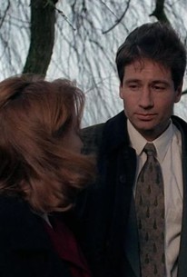 The X-Files: Season 2, Episode 15 | Rotten Tomatoes