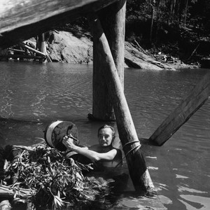 David Lean - Rotten Tomatoes