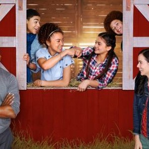 Star Falls - Rotten Tomatoes