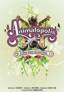 16 to Life - Rotten Tomatoes