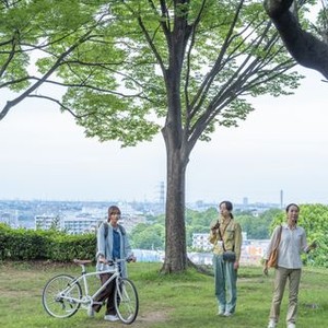 Remembering Every Night - Rotten Tomatoes