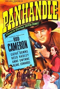 Panhandle | Rotten Tomatoes