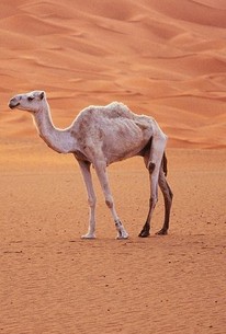 Growing Up ...: Season 1, Episode 24 | Rotten Tomatoes