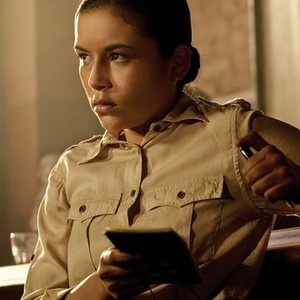 The Bridge - Rotten Tomatoes