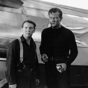 Fuzzy Knight - Rotten Tomatoes