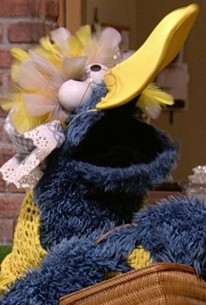 Sesame Street: Season 36, Episode 4 | Rotten Tomatoes