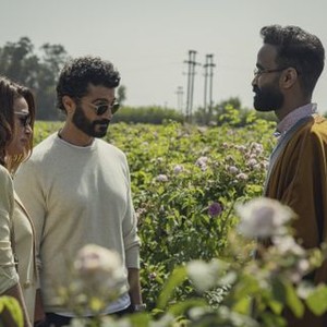 Finding Ola - Rotten Tomatoes