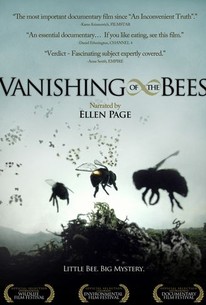 The Vanishing of the Bees (2011) - Rotten Tomatoes