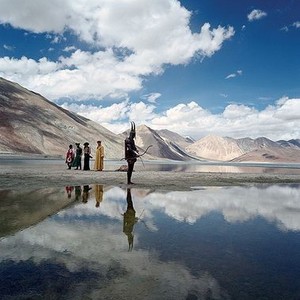 The Fall - Rotten Tomatoes