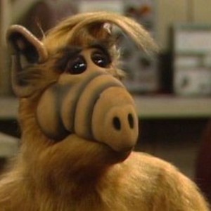 ALF: Season 3, Episode 14 - Rotten Tomatoes