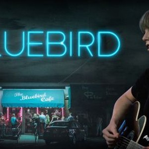 Bluebird - Rotten Tomatoes