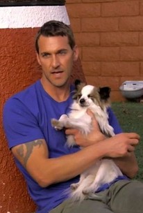Lucky Dog: Season 1, Episode 14 | Rotten Tomatoes