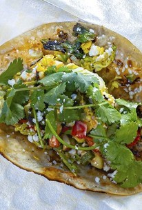 Beachside Brawl: Season 2, Episode 2 | Rotten Tomatoes