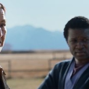 Montana Story - Rotten Tomatoes