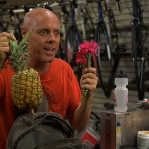 Get a Job - Rotten Tomatoes