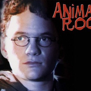 Animal Room - Rotten Tomatoes