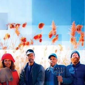 Urban Roots - Rotten Tomatoes