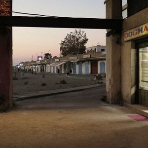 Dogman - Rotten Tomatoes