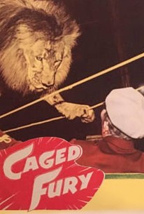 Caged Fury - Movie Reviews - Rotten Tomatoes